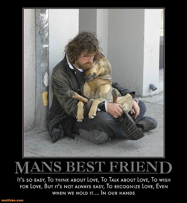 Dog Loyalty Quotes QuotesGram Dog Loyalty Quotes QuotesGram