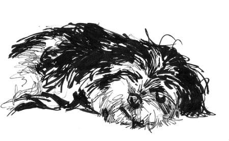 Different Pen and Ink Techniques - Photo Inspiration | Bit Rebels